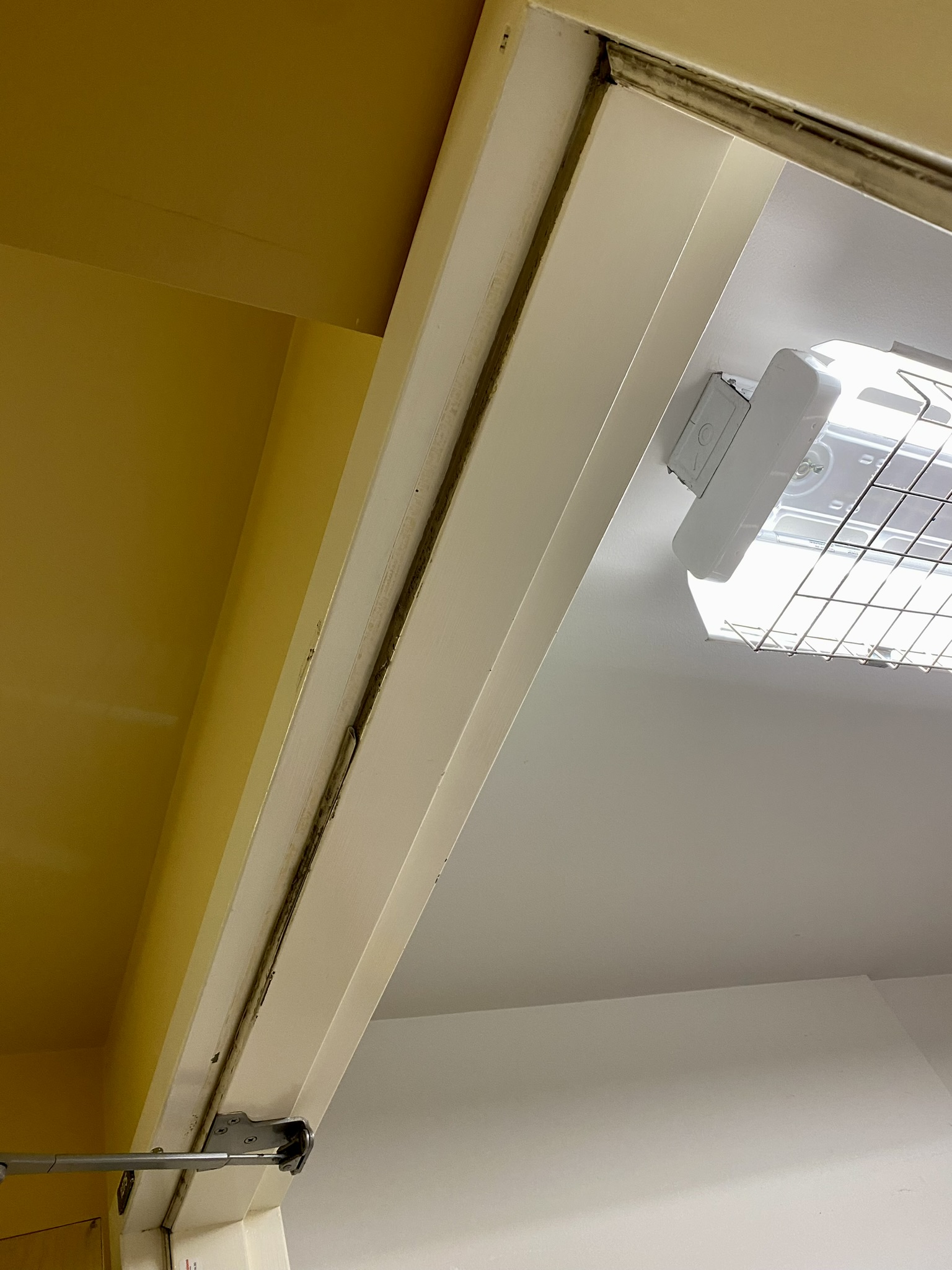Fire Door Repair Solutions | Active Fire Door Products